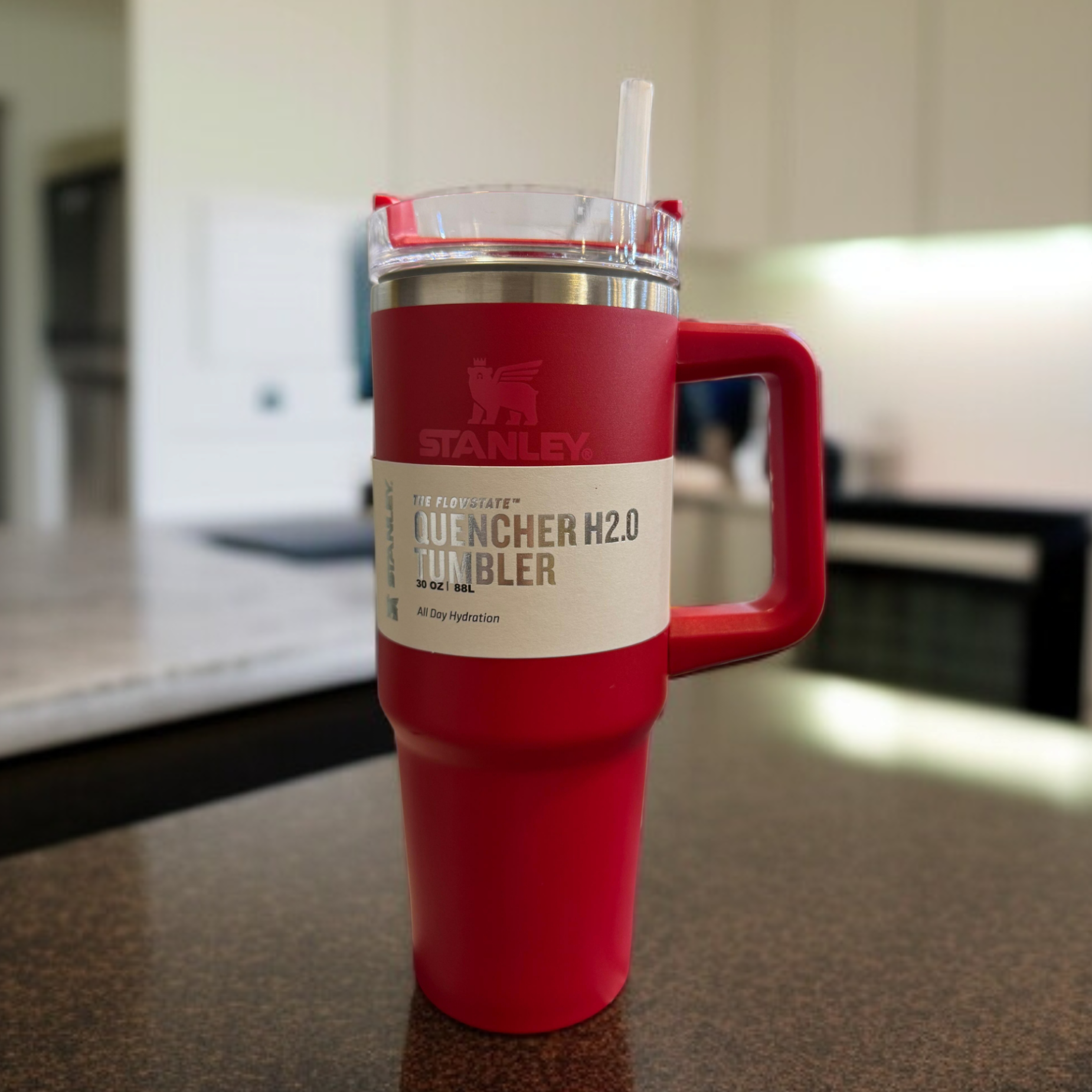 Stanley Thermos Cup & Tumbler 900ML-Red – Zahra Stores